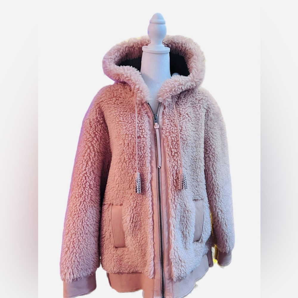 Coach Teddy Jacket - Gem